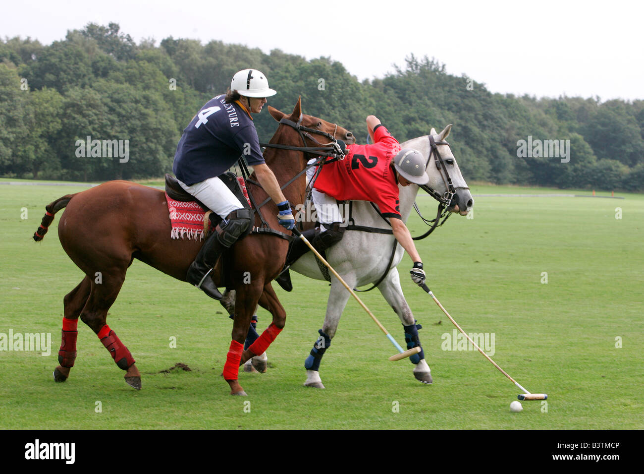 Polo ball polo horse polo hi-res stock photography and images - Alamy