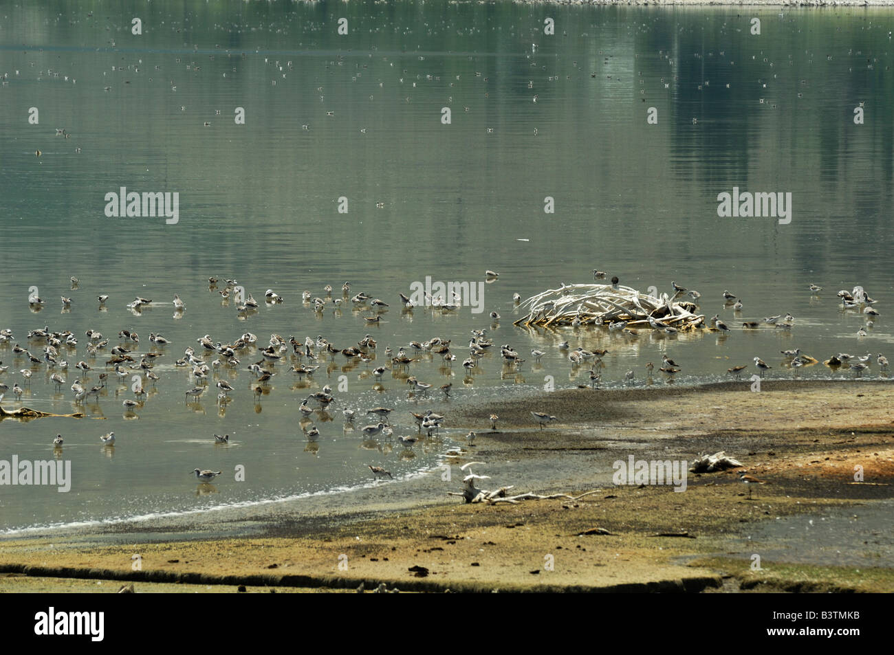 General landscape of Mono Lake Stock Photo - Alamy