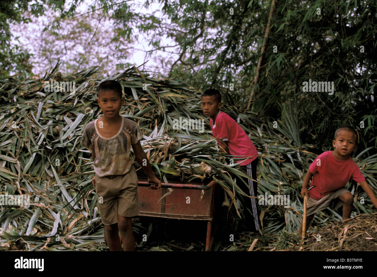 Thailand, Bangkok. Child labor Stock Photo - Alamy