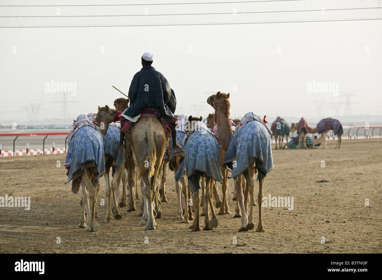 United Arab Emirates, Dubai, Al Marqadh. Dubai Camel Racing Track ...