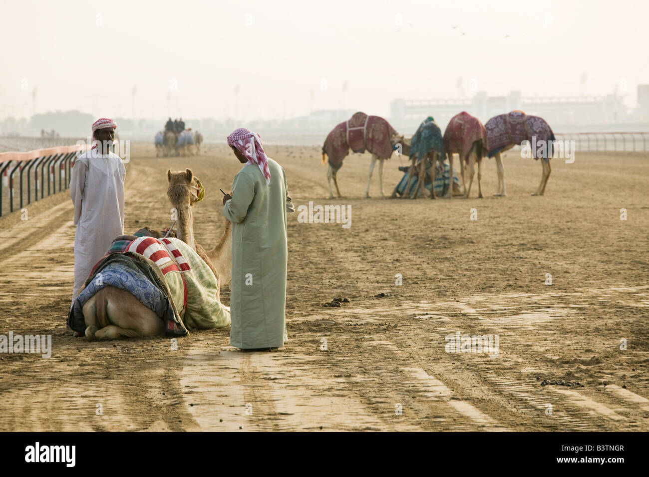 United Arab Emirates, Dubai, Al Marqadh. Dubai Camel Racing Track ...