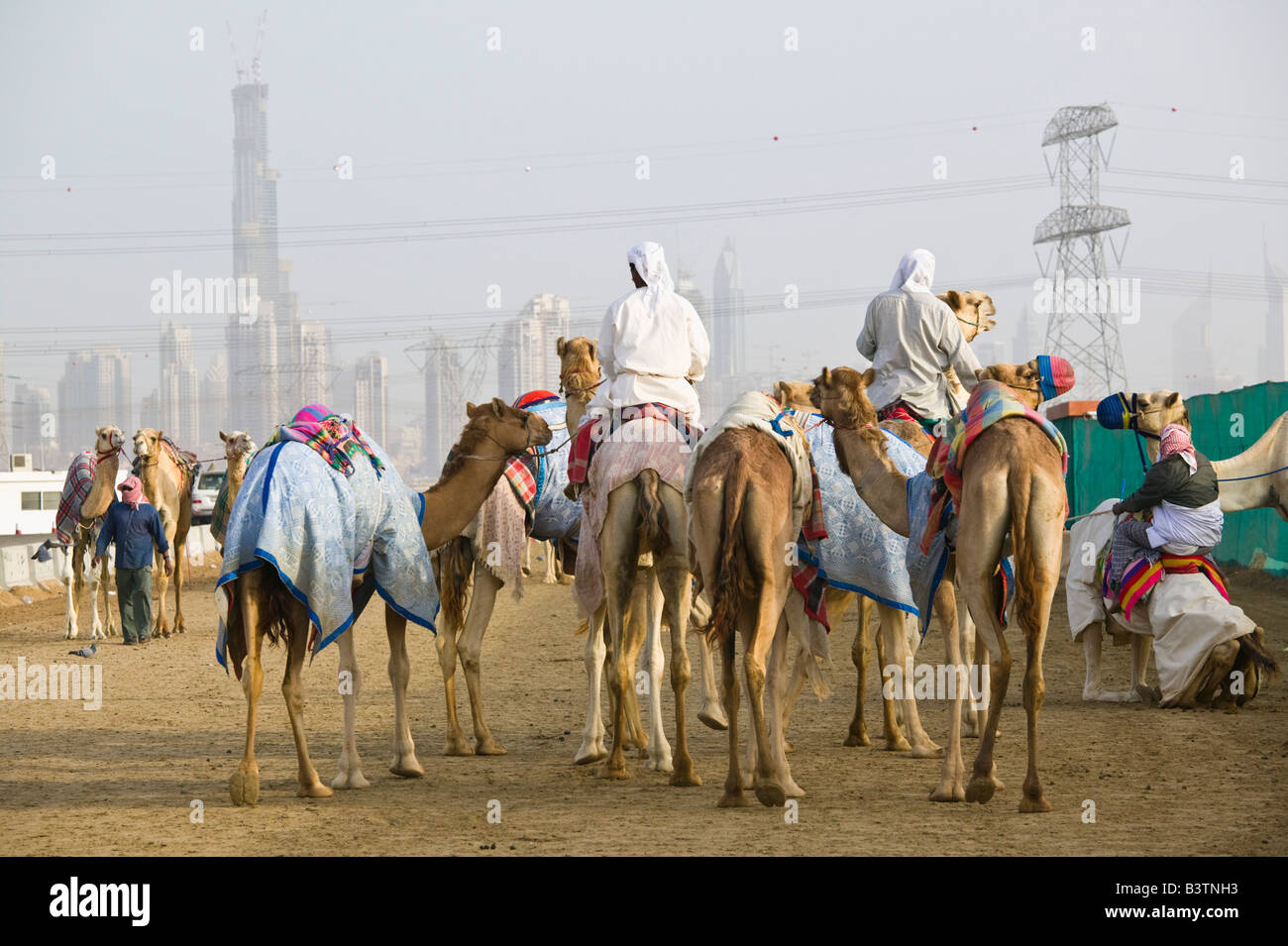 United Arab Emirates, Dubai, Al Marqadh. Dubai Camel Racing Track ...