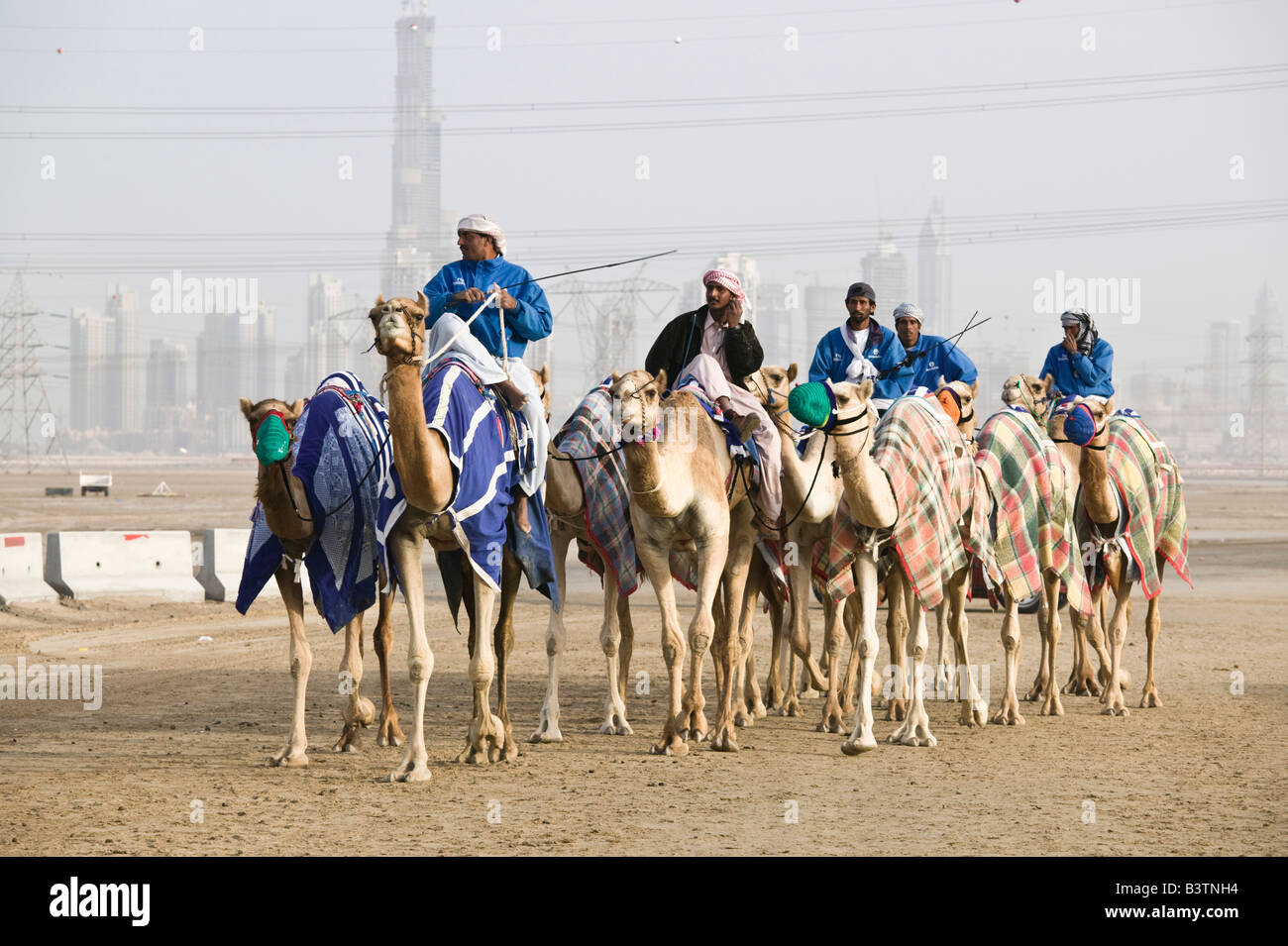 United Arab Emirates, Dubai, Al Marqadh. Dubai Camel Racing Track ...