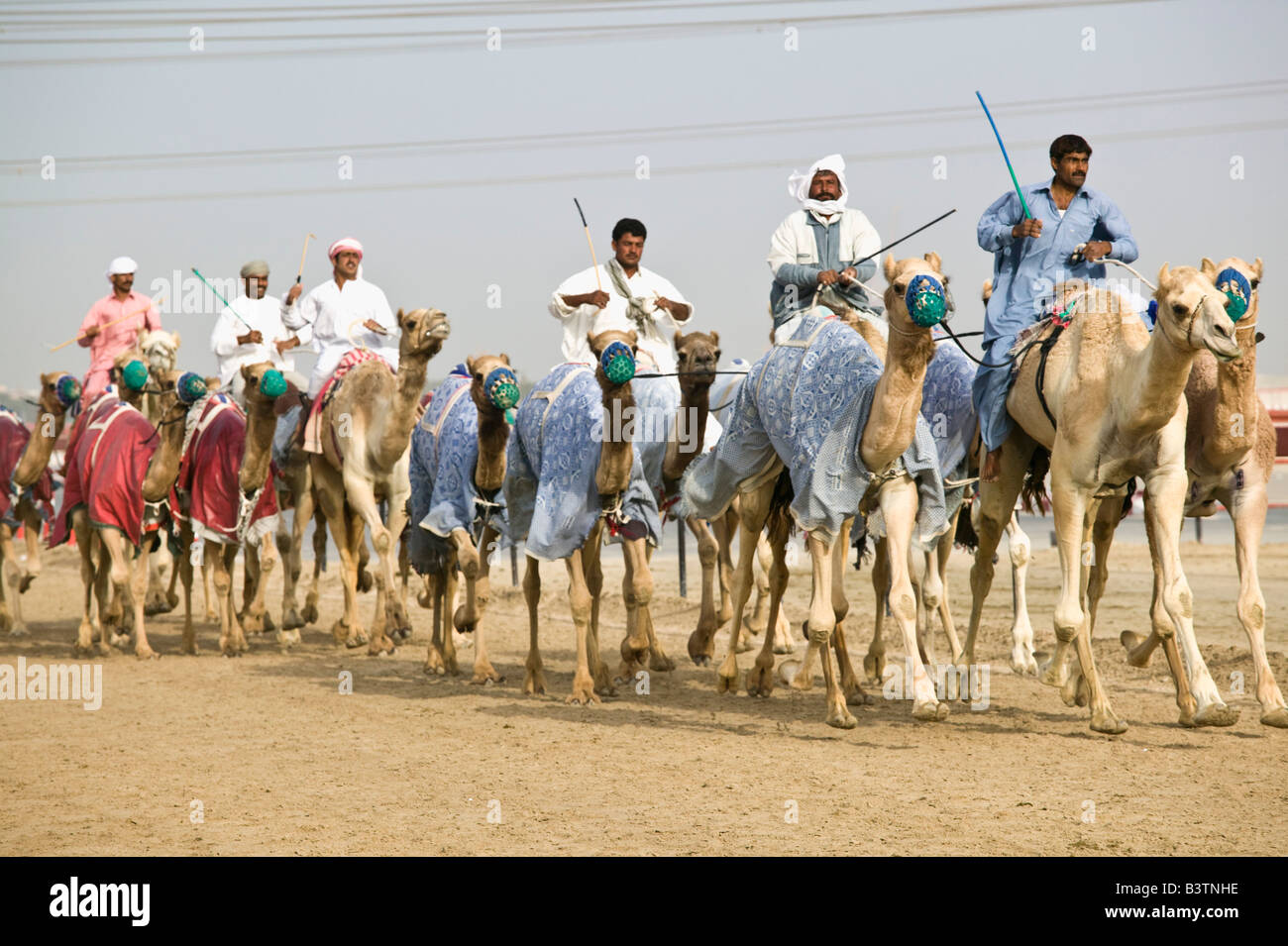 United Arab Emirates, Dubai, Al Marqadh. Dubai Camel Racing Track ...