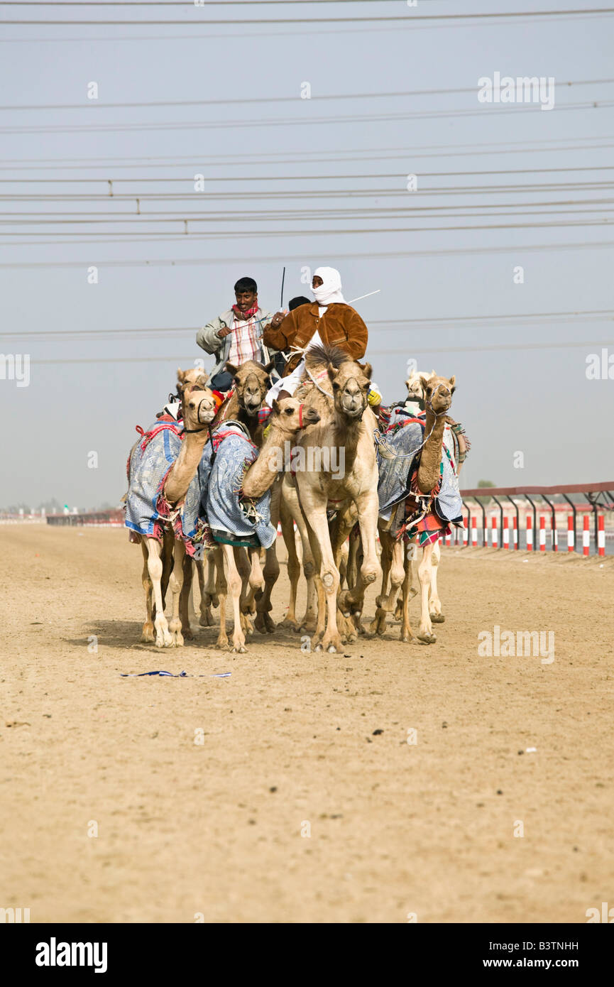 United Arab Emirates, Dubai, Al Marqadh. Dubai Camel Racing Track ...