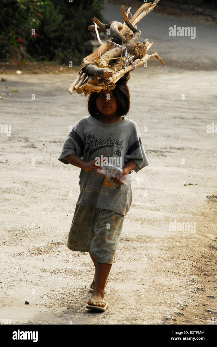 child carrying fire wood on her head , julah, bali aga village , north ...