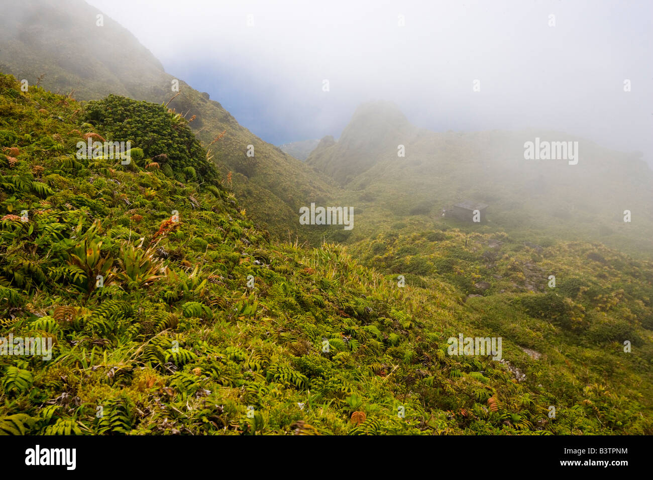 Windward slope hi-res stock photography and images - Alamy