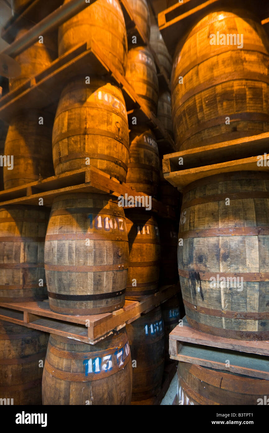 Rum distillery martinique hi-res stock photography and images - Alamy