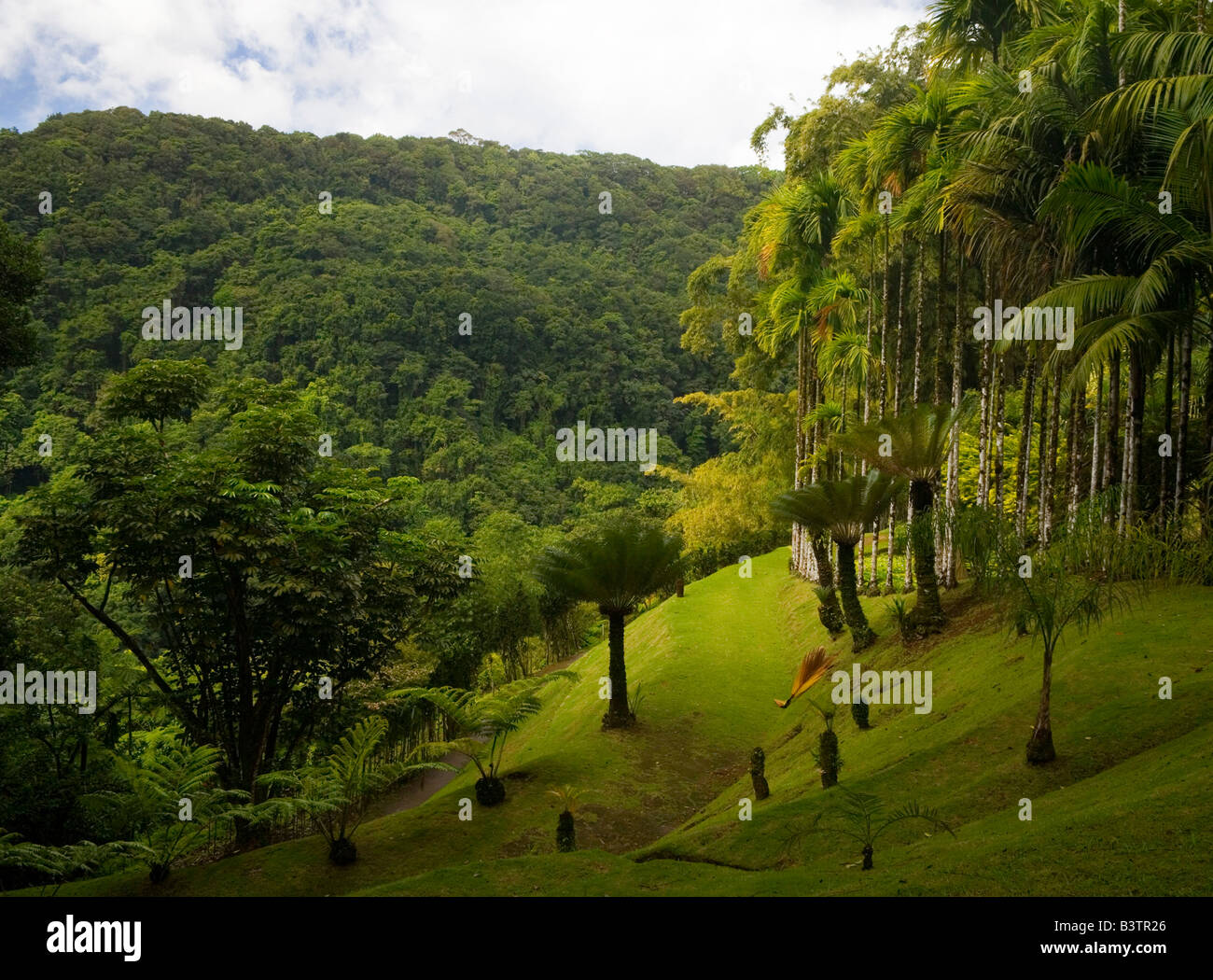 Windward slope hi-res stock photography and images - Alamy
