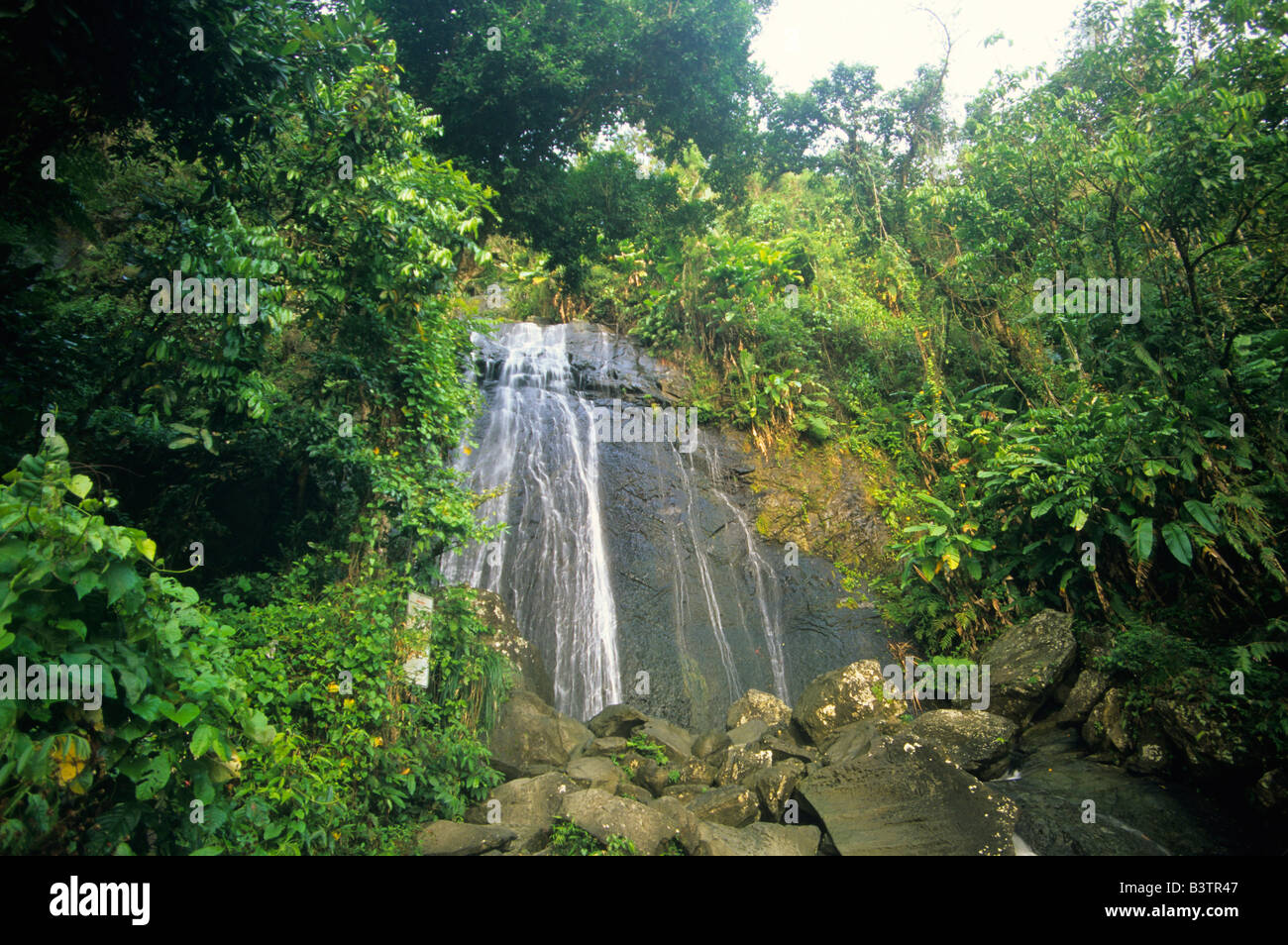 Waterfall in El Yunque the Caribbean National Forest in the Sierra de ...