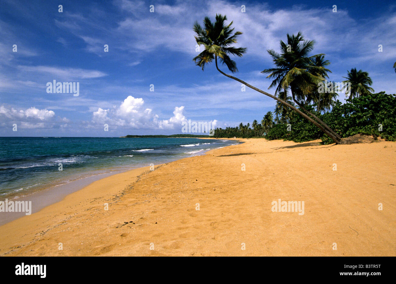 Beach Puerto Rico Stock Photo - Alamy