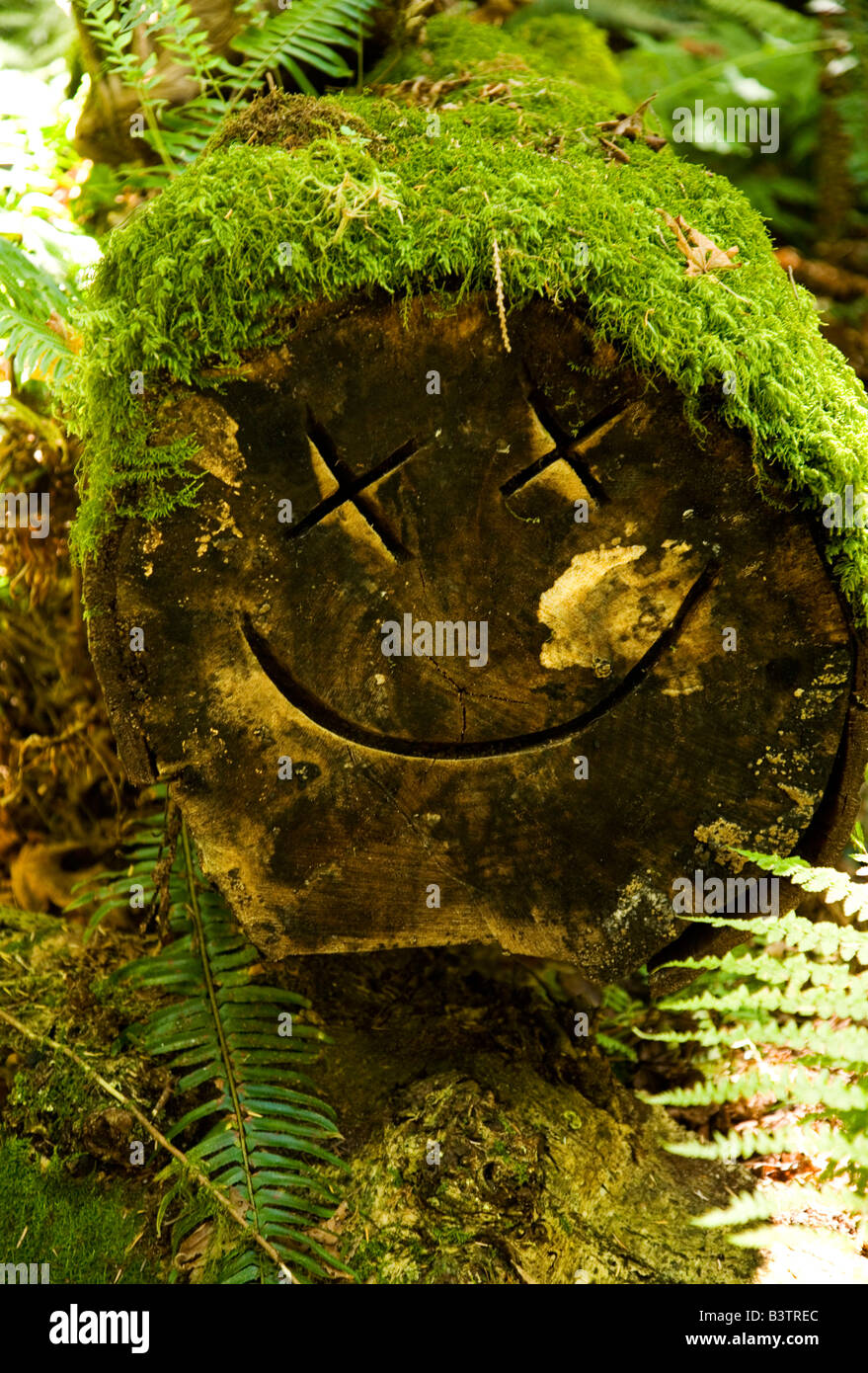 Smiley log hi-res stock photography and images - Alamy