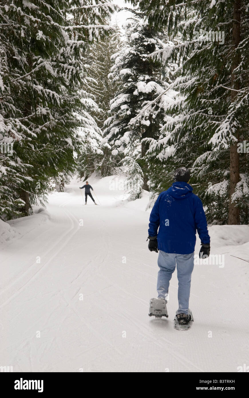 Canada, BC, Whistler/Blackcomb Resort Stock Photo - Alamy