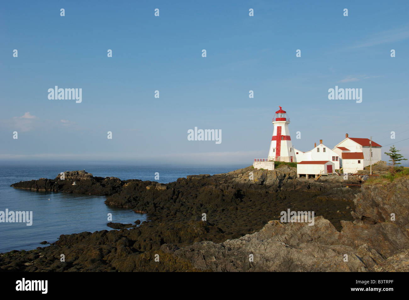 East Quoddy Lighthouse, Campobello Island, New Brunswick, Canada Stock ...