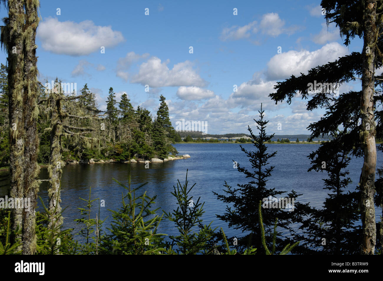 Taylor head beach nova scotia hi-res stock photography and images - Alamy
