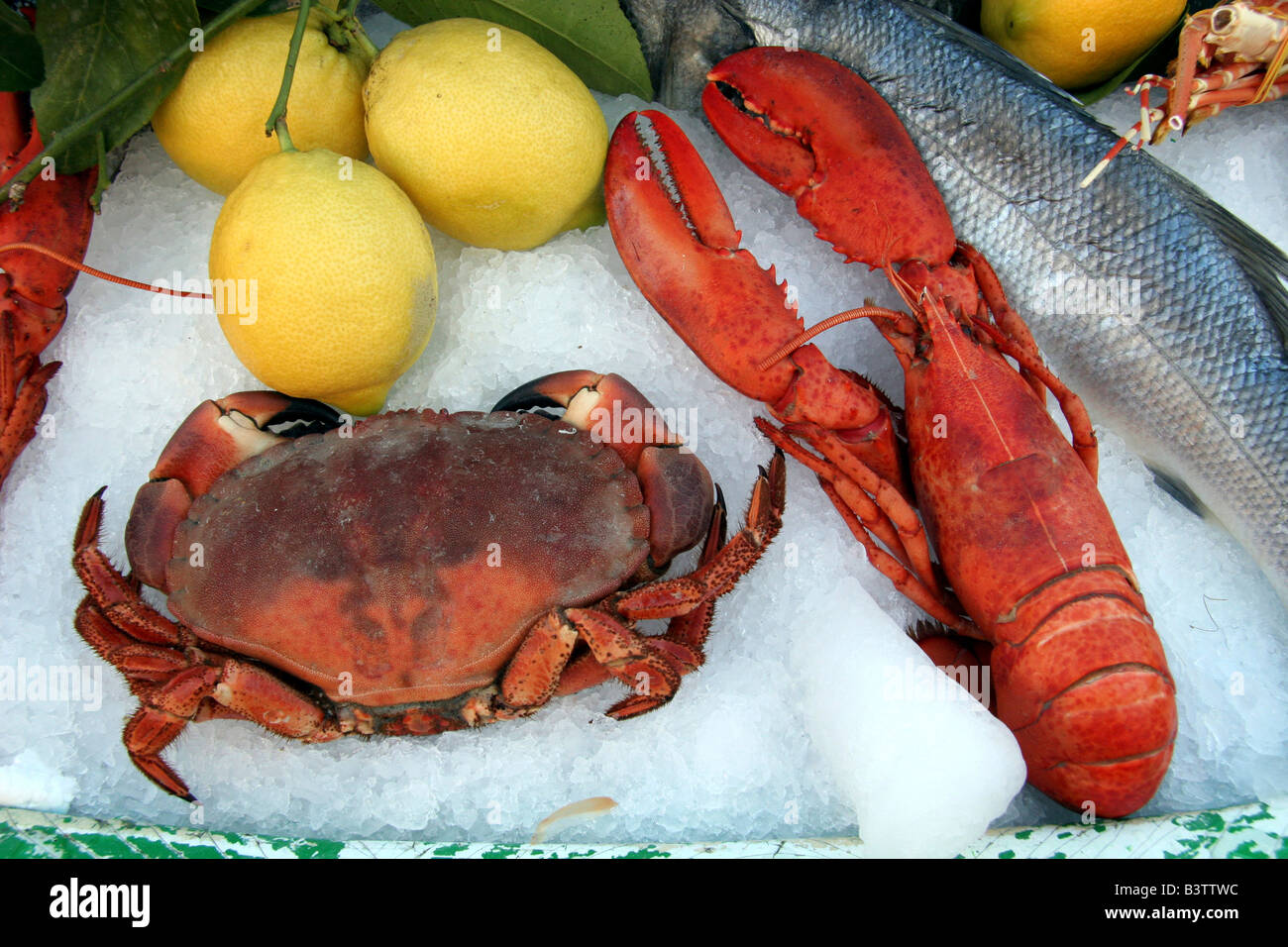Mediteranean Fresh Catch Stock Photo - Alamy