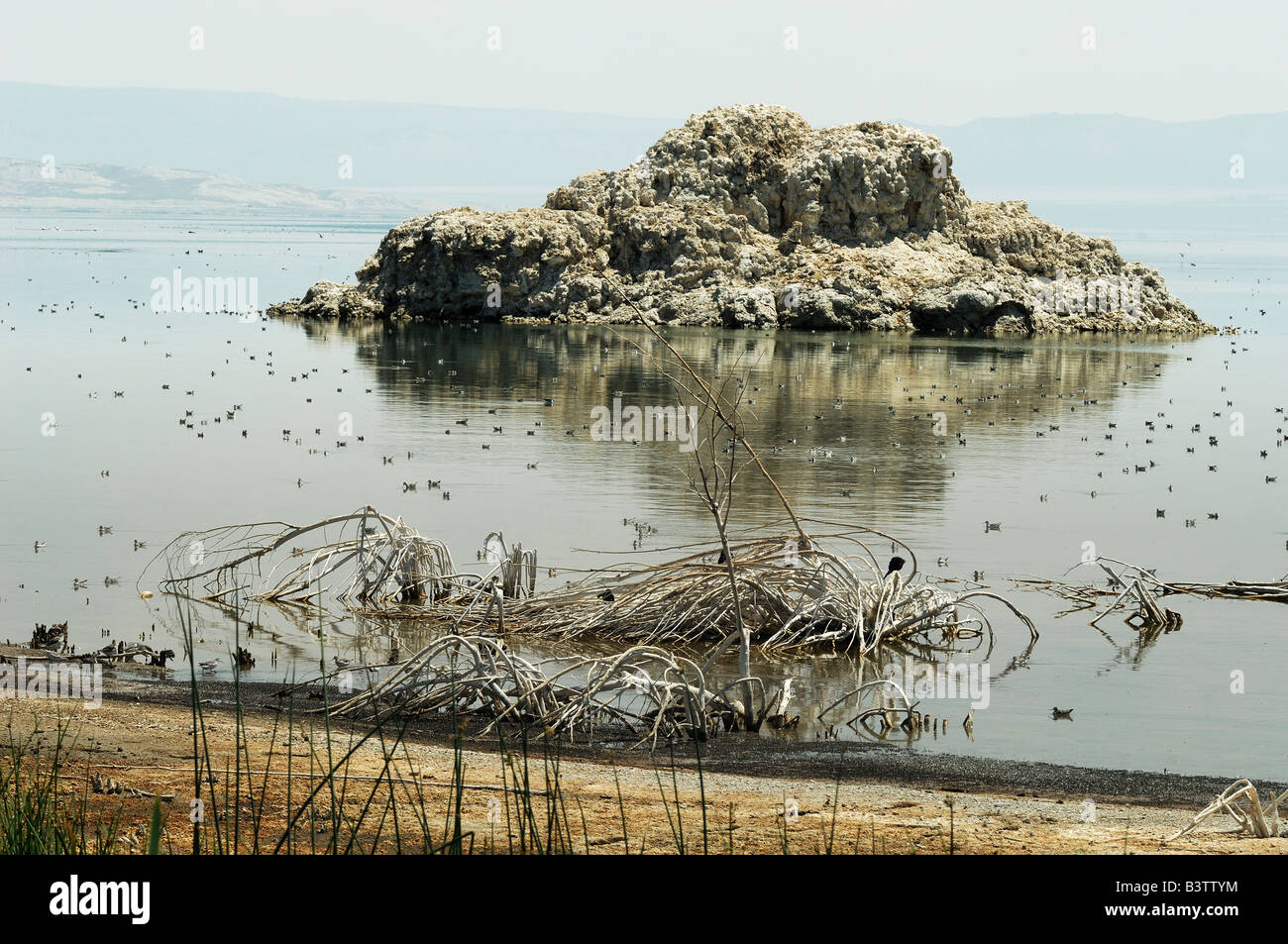 General landscape of Mono Lake Stock Photo - Alamy