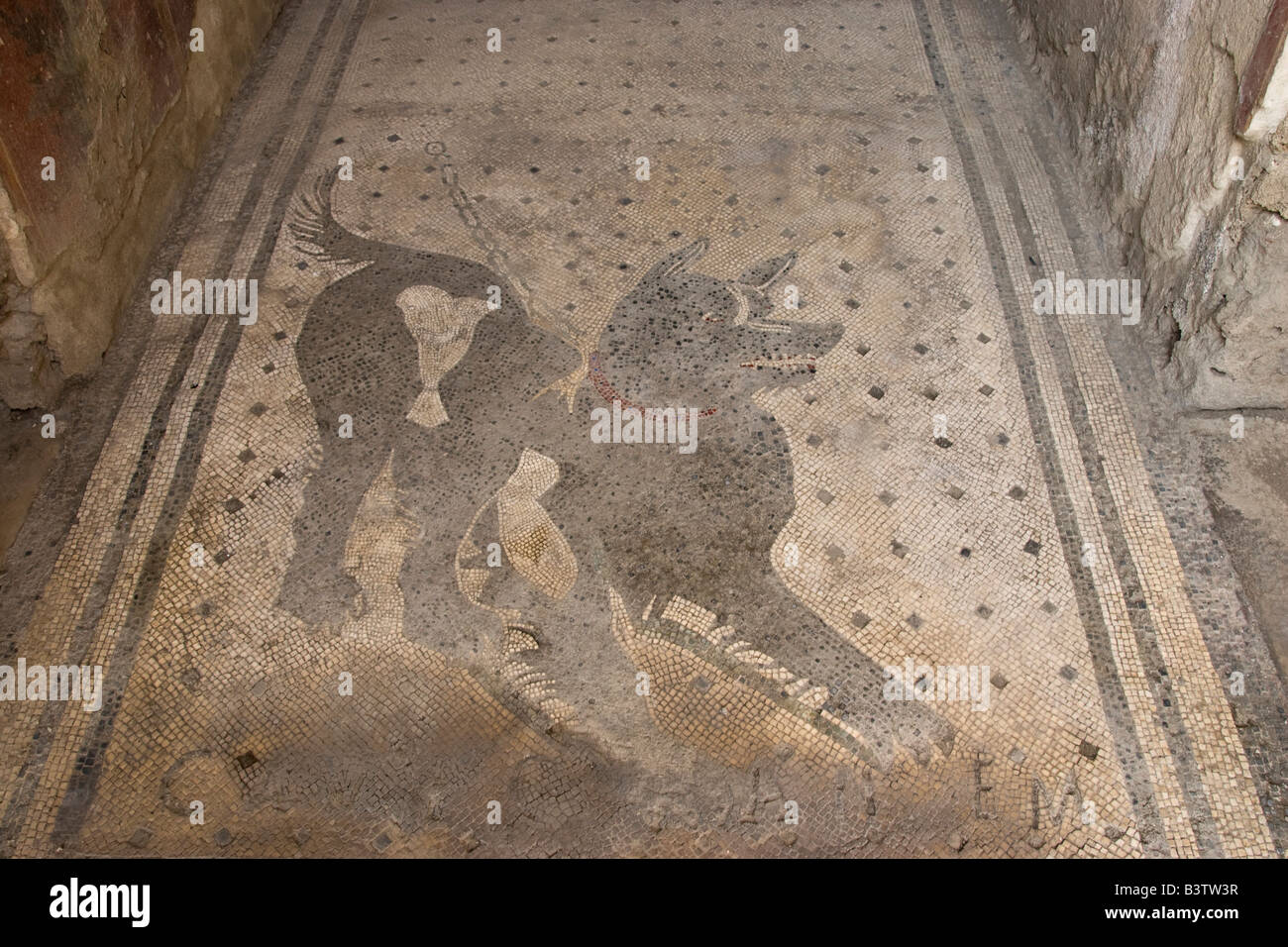 Pompeii mosaic dog hi-res stock photography and images - Alamy