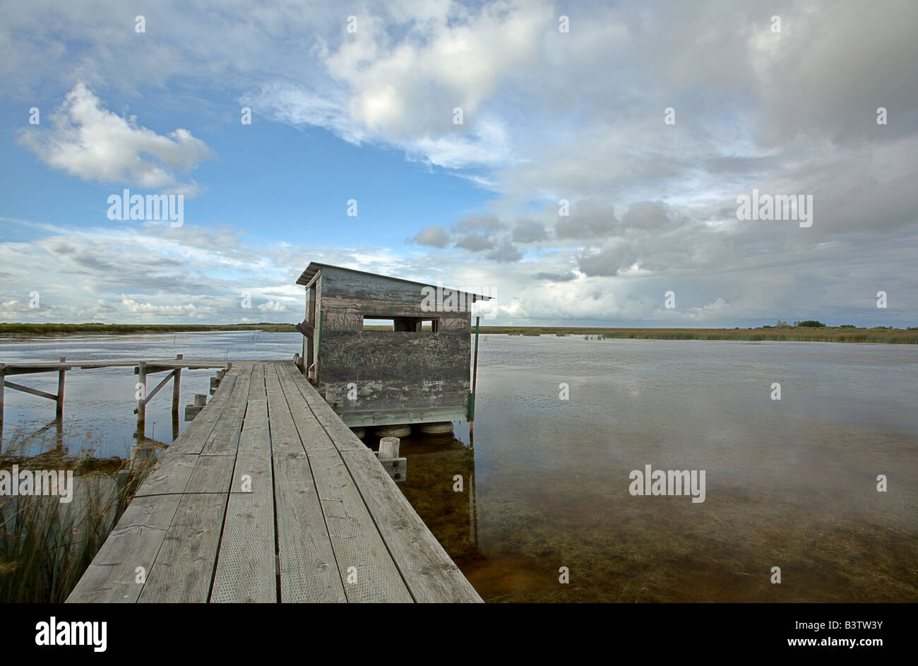Scenic view of Saskatchewan marshes Stock Photo - Alamy