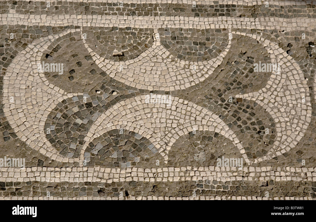 Europe, Italy, Campania, Pompeii. Mosaic floor patterns in the House of ...