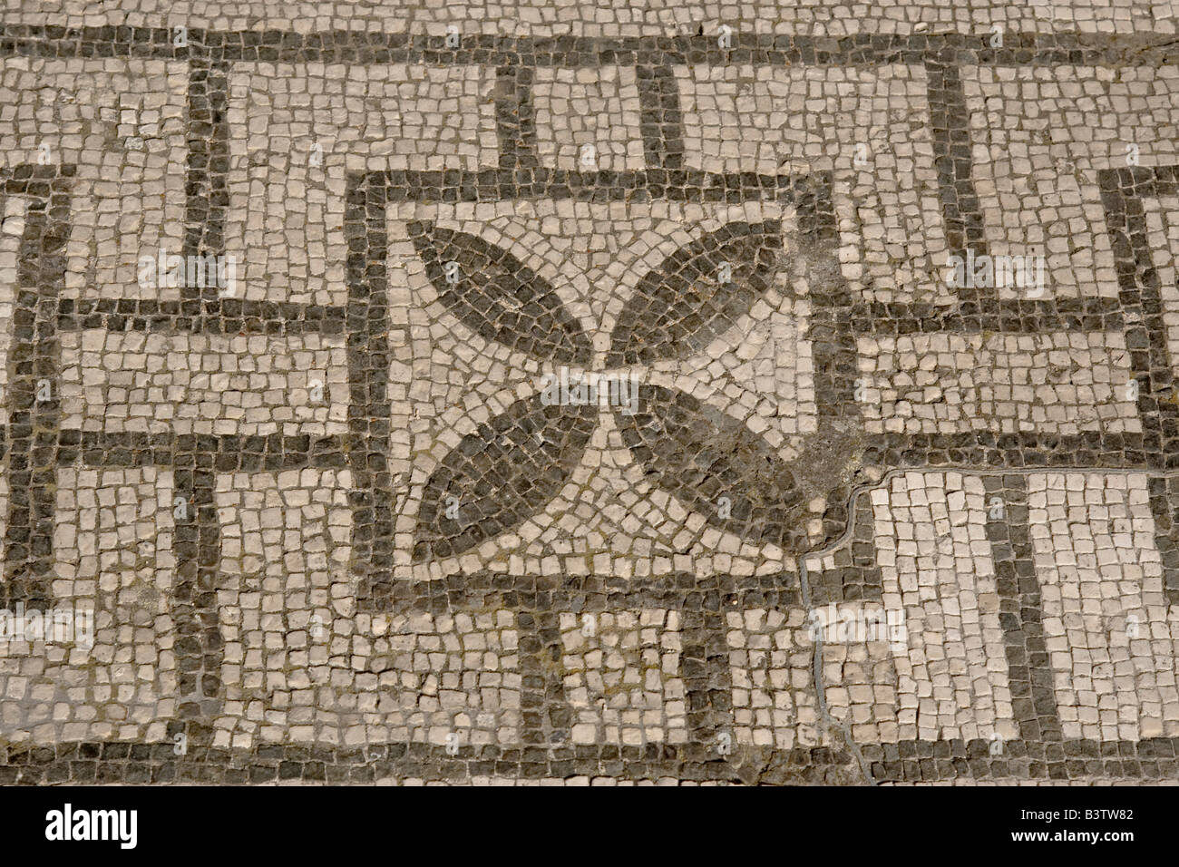 Europe, Italy, Campania, Pompeii. Mosaic floor patterns in the House of ...
