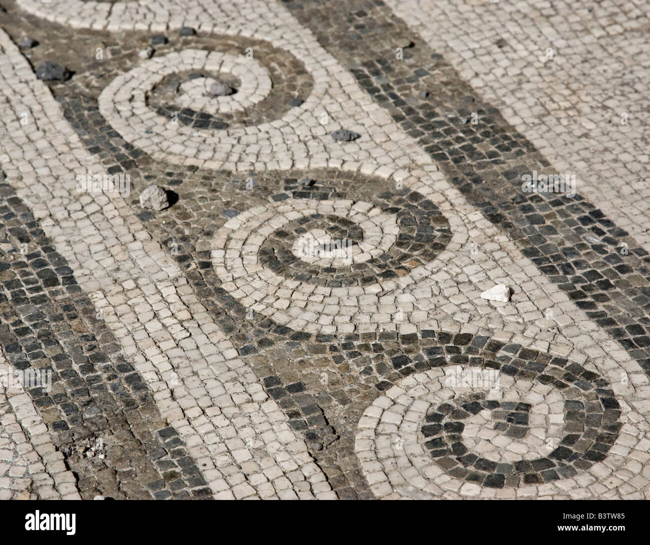 Pompeii mosaic hi-res stock photography and images - Alamy