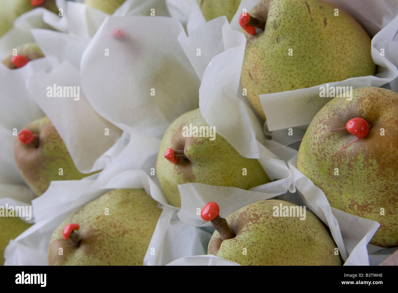 Europe, Italy, Venice. Pears with red wax on stems Stock Photo - Alamy