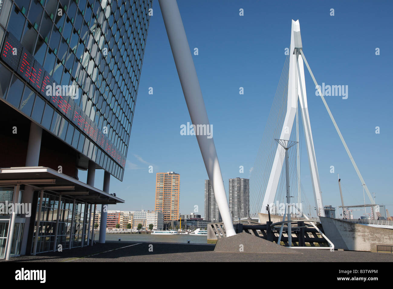 Erasmus bridge in Rotterdam, Netherlands Stock Photo - Alamy
