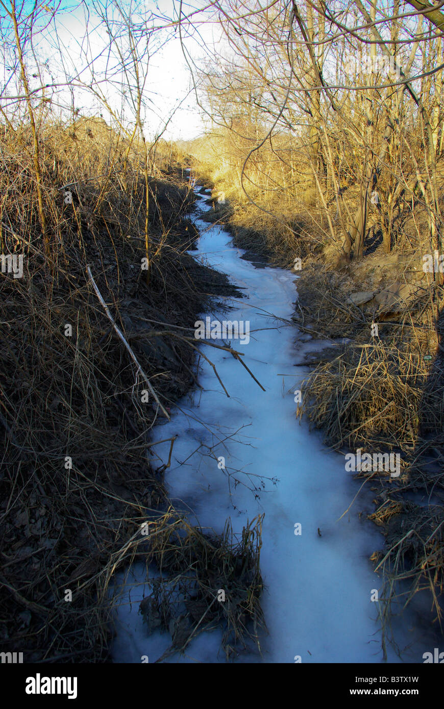 A frozen stream trails into the distance through dead grass and trees ...