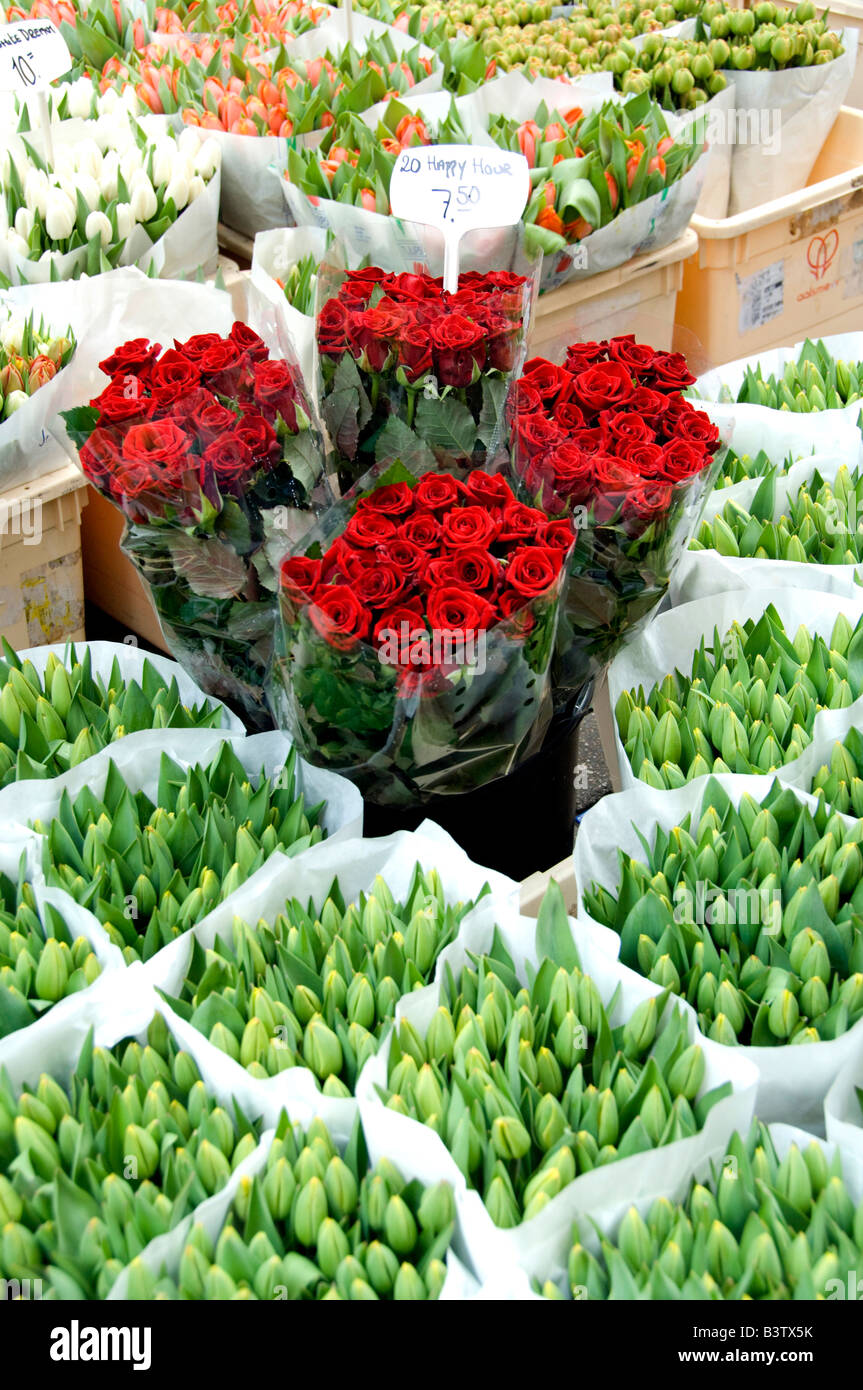 Netherlands (aka Holland), Amsterdam. Bloemenmark (aka floating flower ...