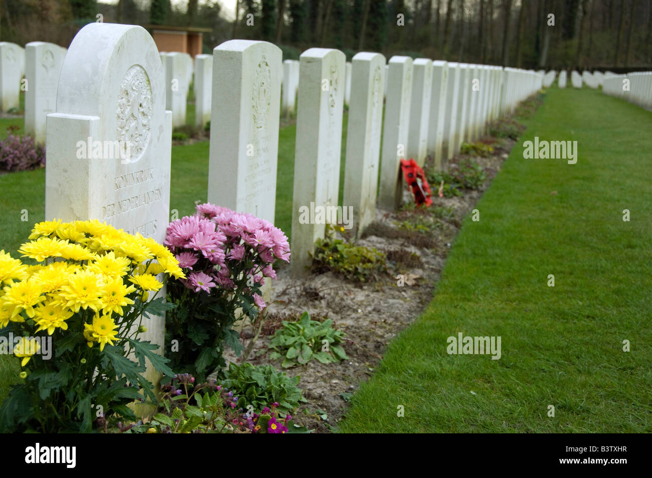 Netherlands (aka Holland), Arnhem, Oosterbeek. WWII cemetery for the ...
