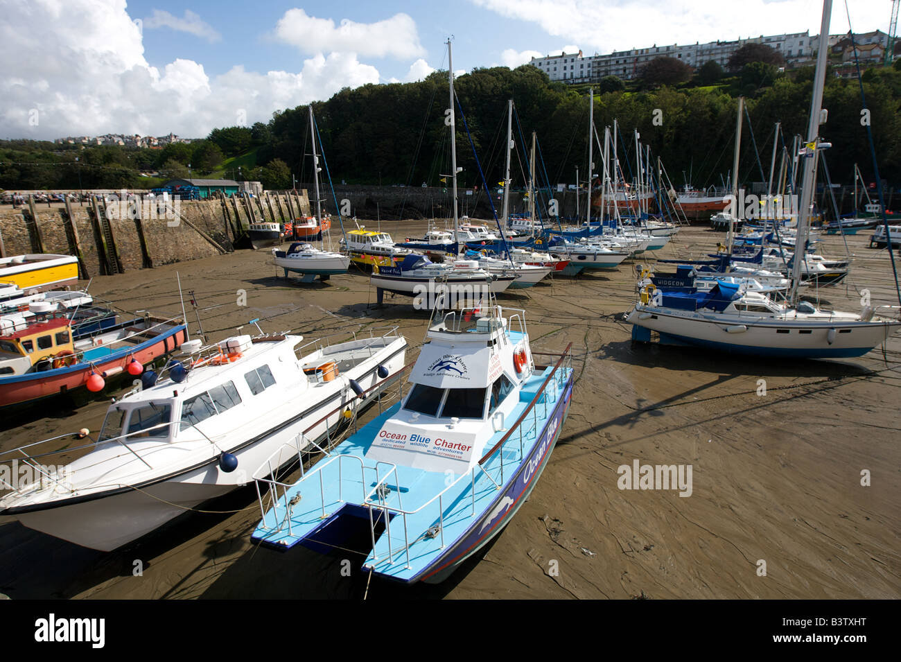 Ilfracombe quay, Devon Stock Photo - Alamy