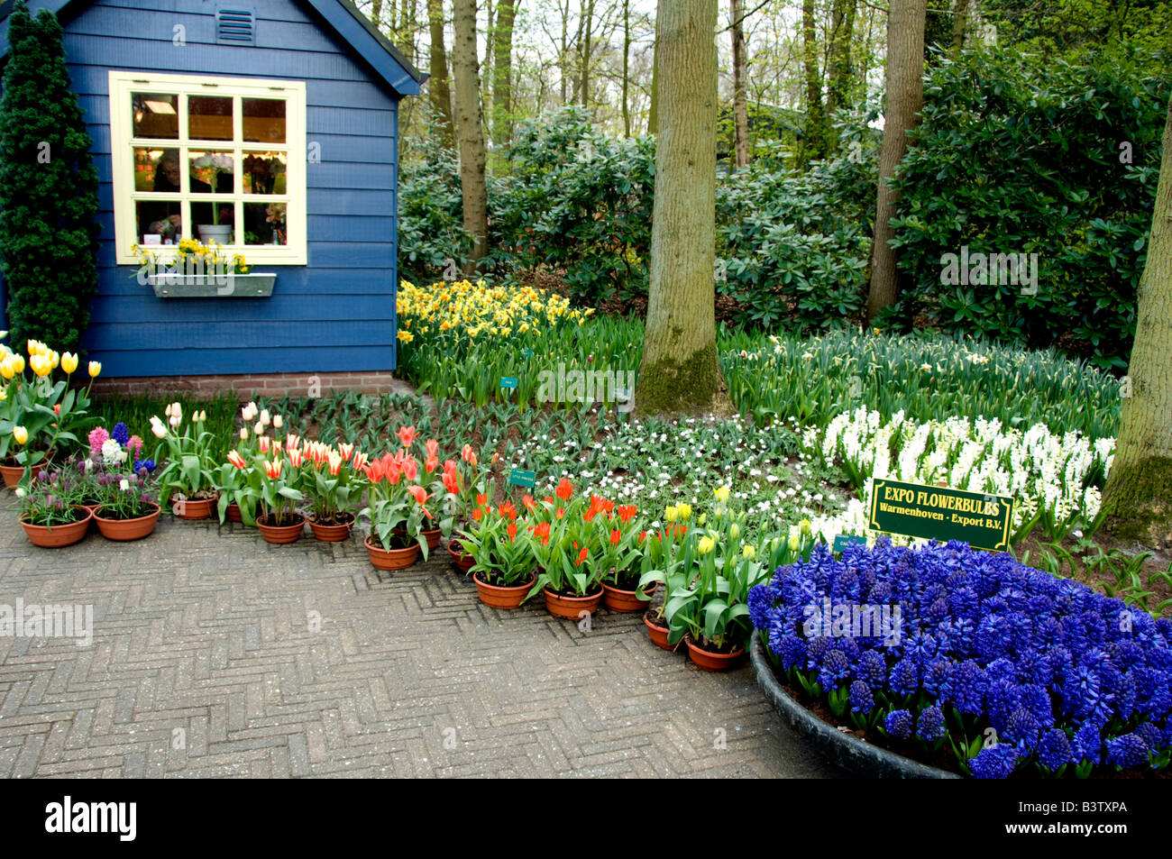 Lisse home hi-res stock photography and images - Alamy