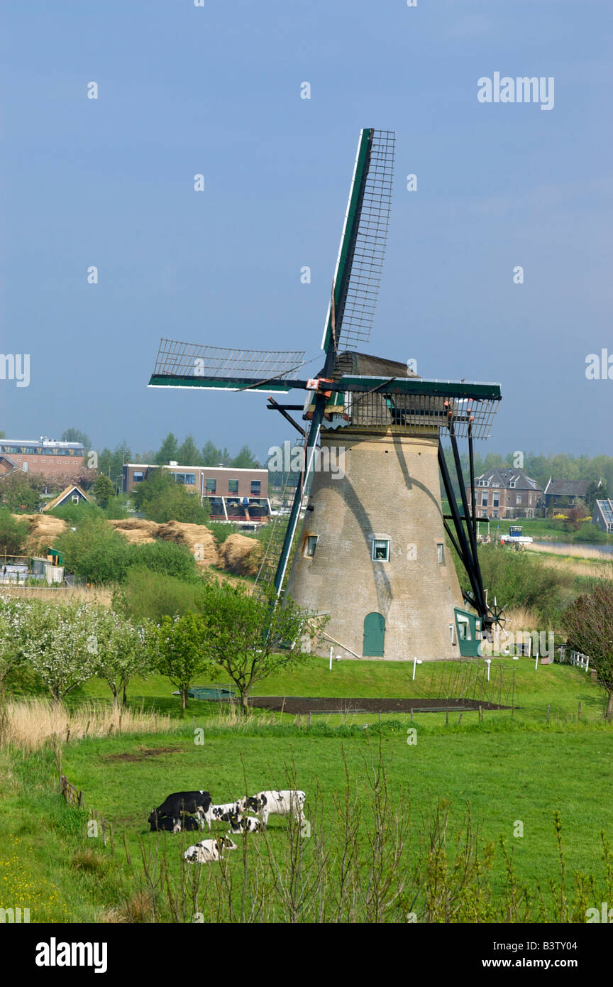 Europe, Netherlands, Holland, Kinderdijk, Windmills used to pump water ...