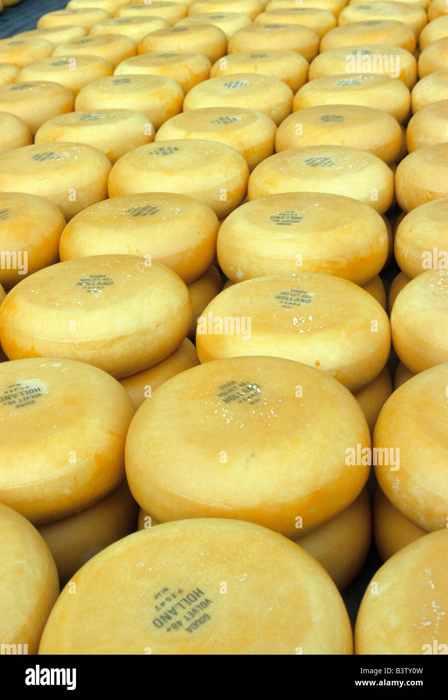 Cheese in cheese market, Alkmaar, Holland Stock Photo - Alamy