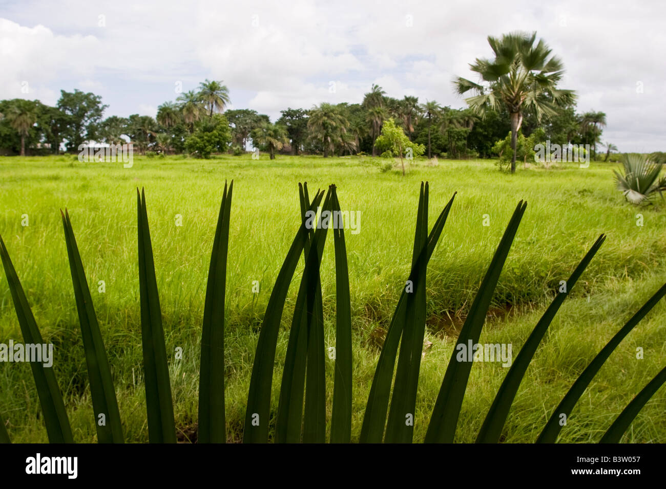 Senegal casamance landscape hi-res stock photography and images - Alamy
