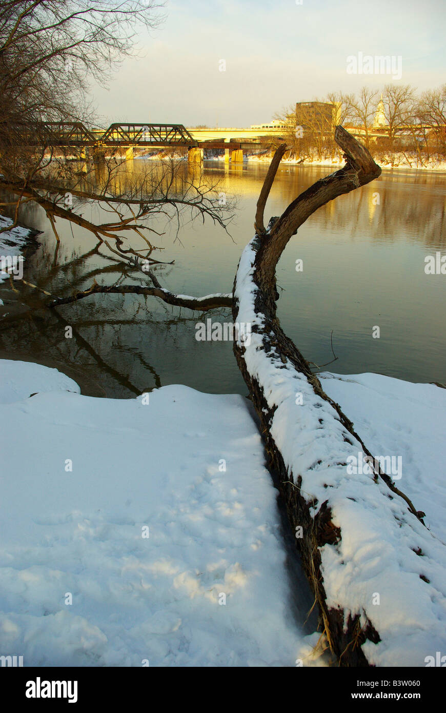 A fallen tree along the snowy banks of the Wabash River in winter Stock ...