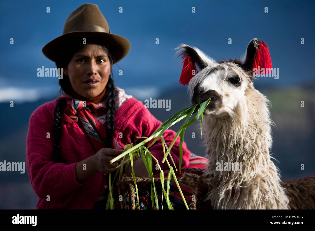 Peruvian woman in traditional clothing with llama in Cuzco, Peru Stock ...