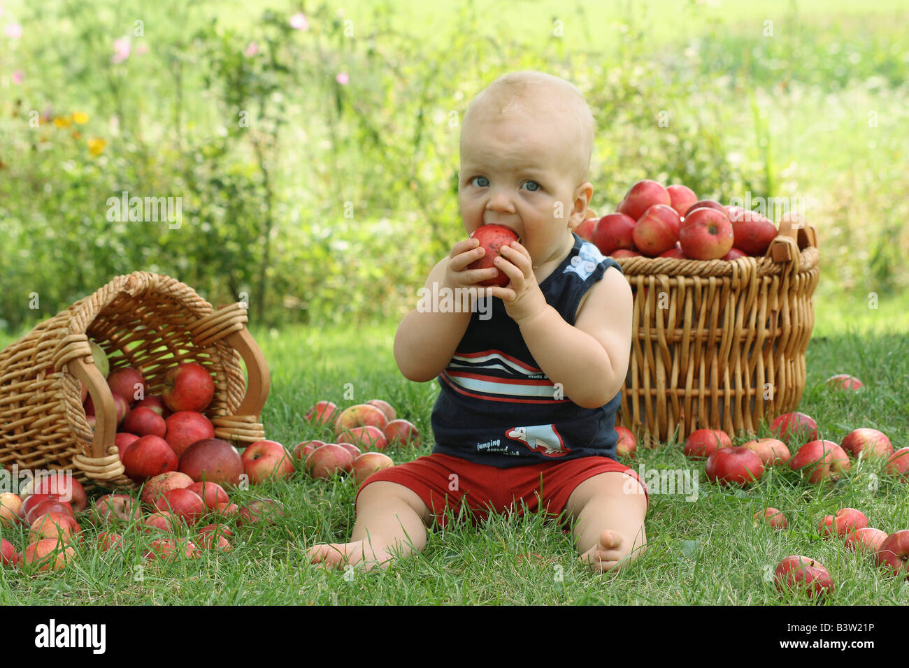 small boy sitting between apples Stock Photo - Alamy