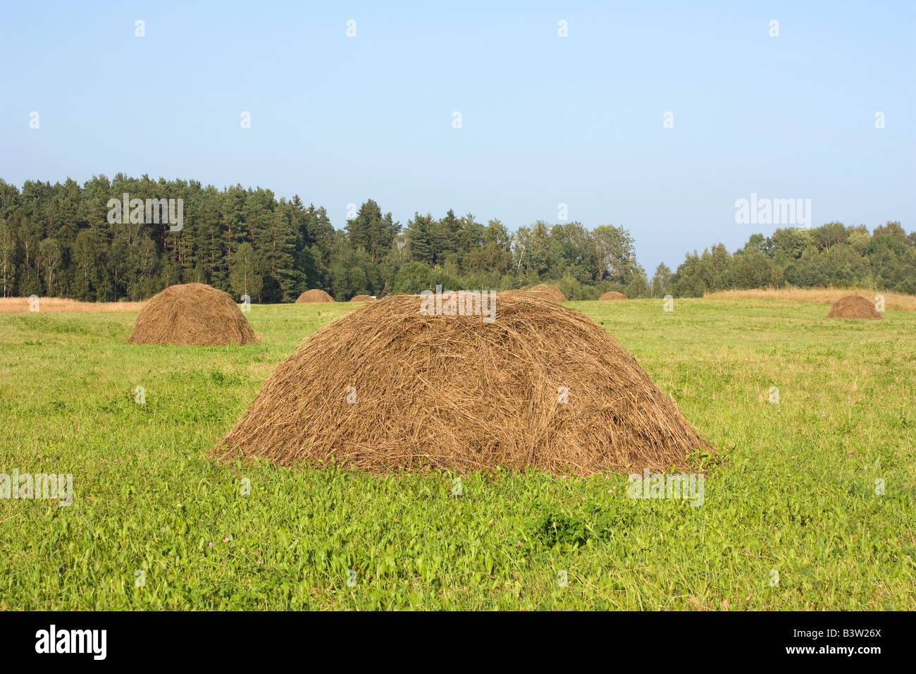 Haystacks on summer meadow hi-res stock photography and images - Alamy