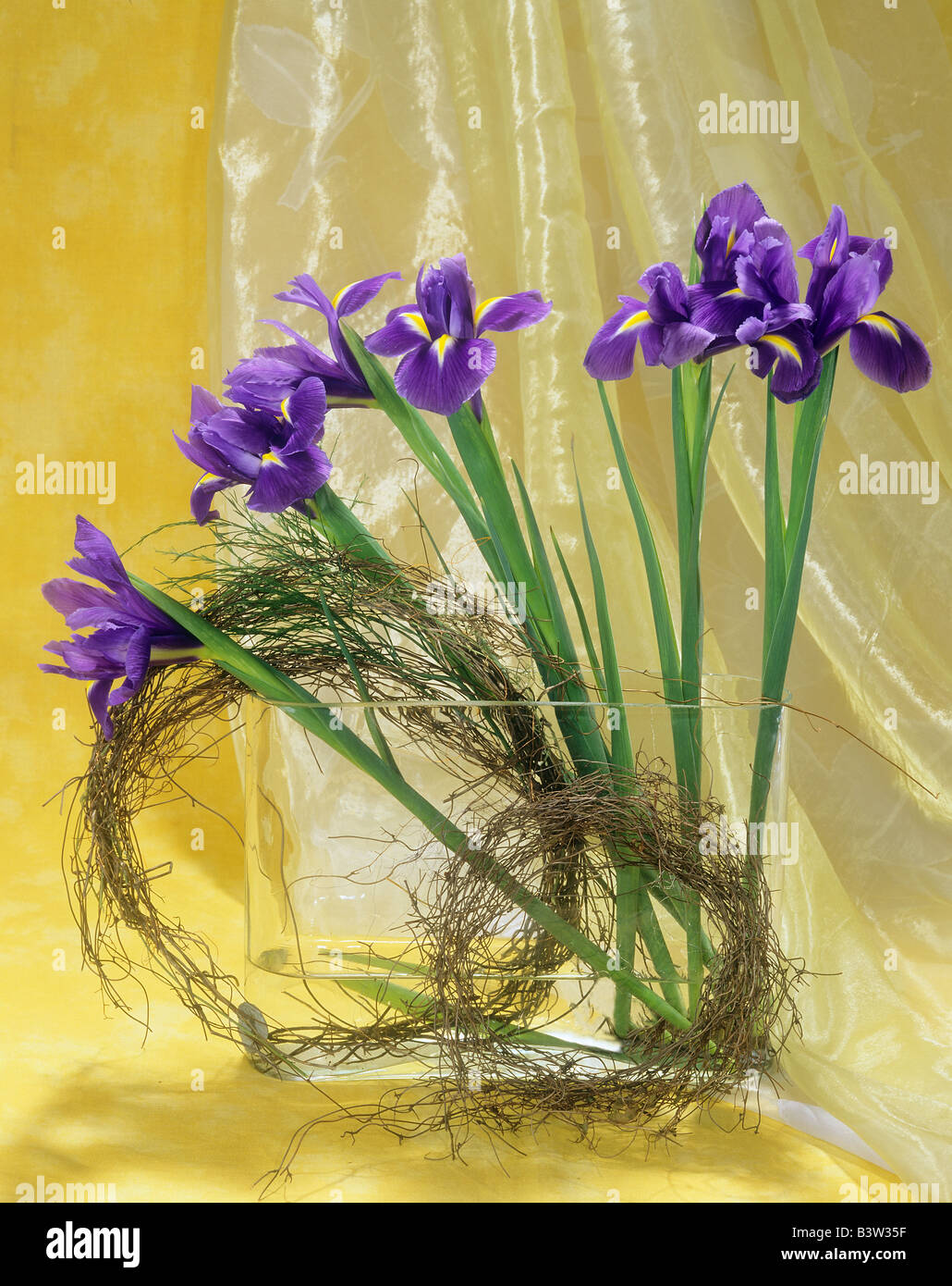 boquet with irises Stock Photo - Alamy