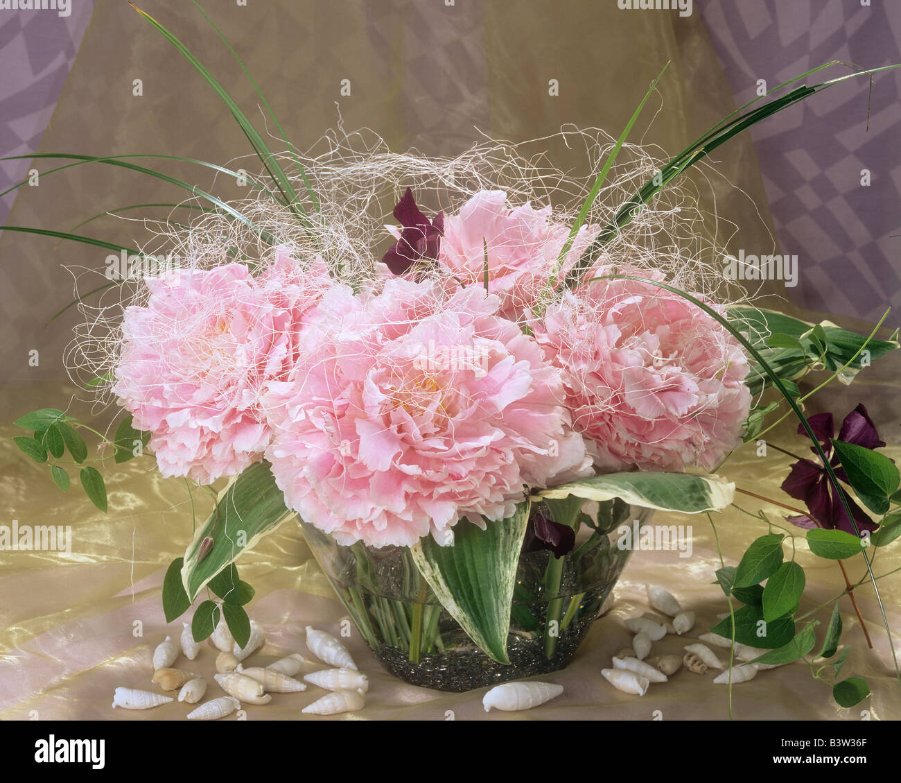 Peonies hosta hi-res stock photography and images - Alamy
