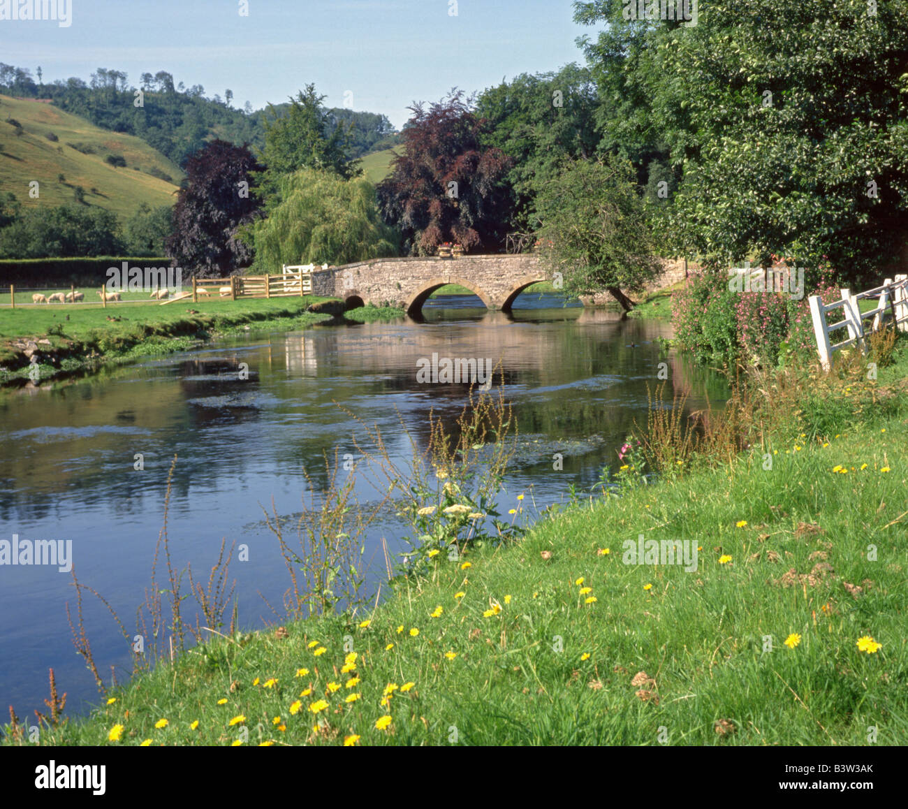 Bridge over the River Wye near Ashford in the Water in White Peak ...