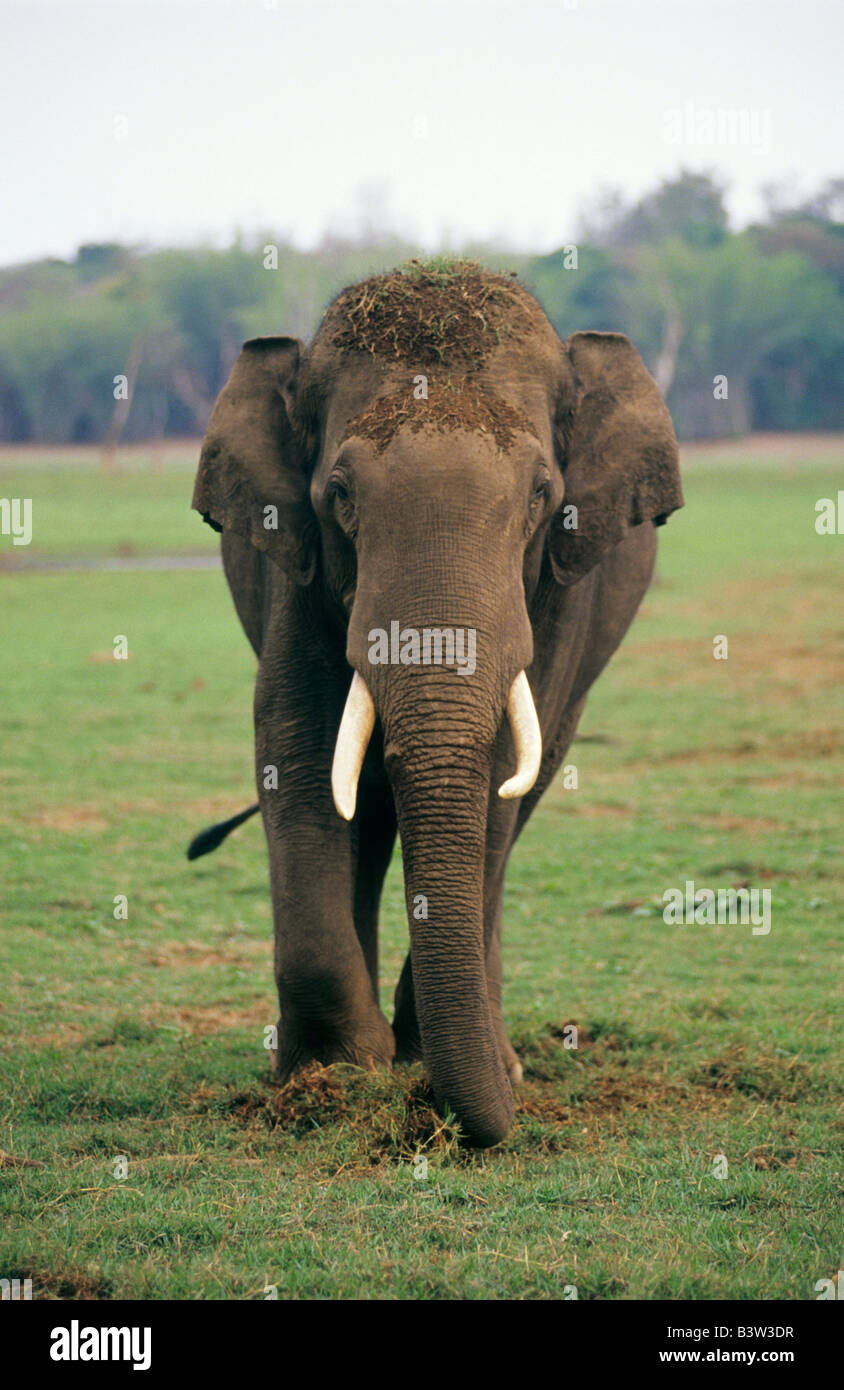 Kabini backwaters hi-res stock photography and images - Alamy