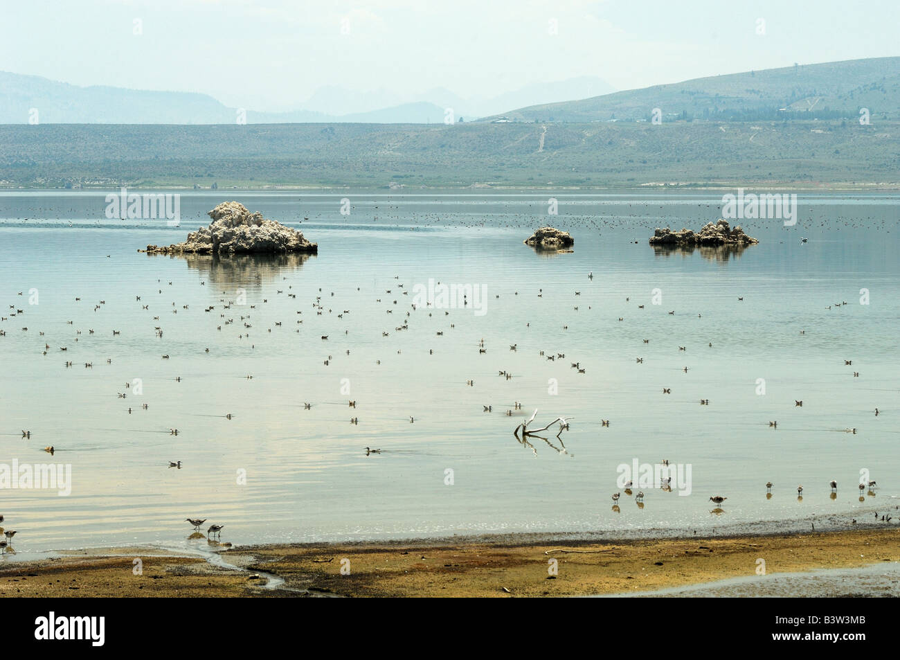 General landscape of Mono Lake Stock Photo - Alamy