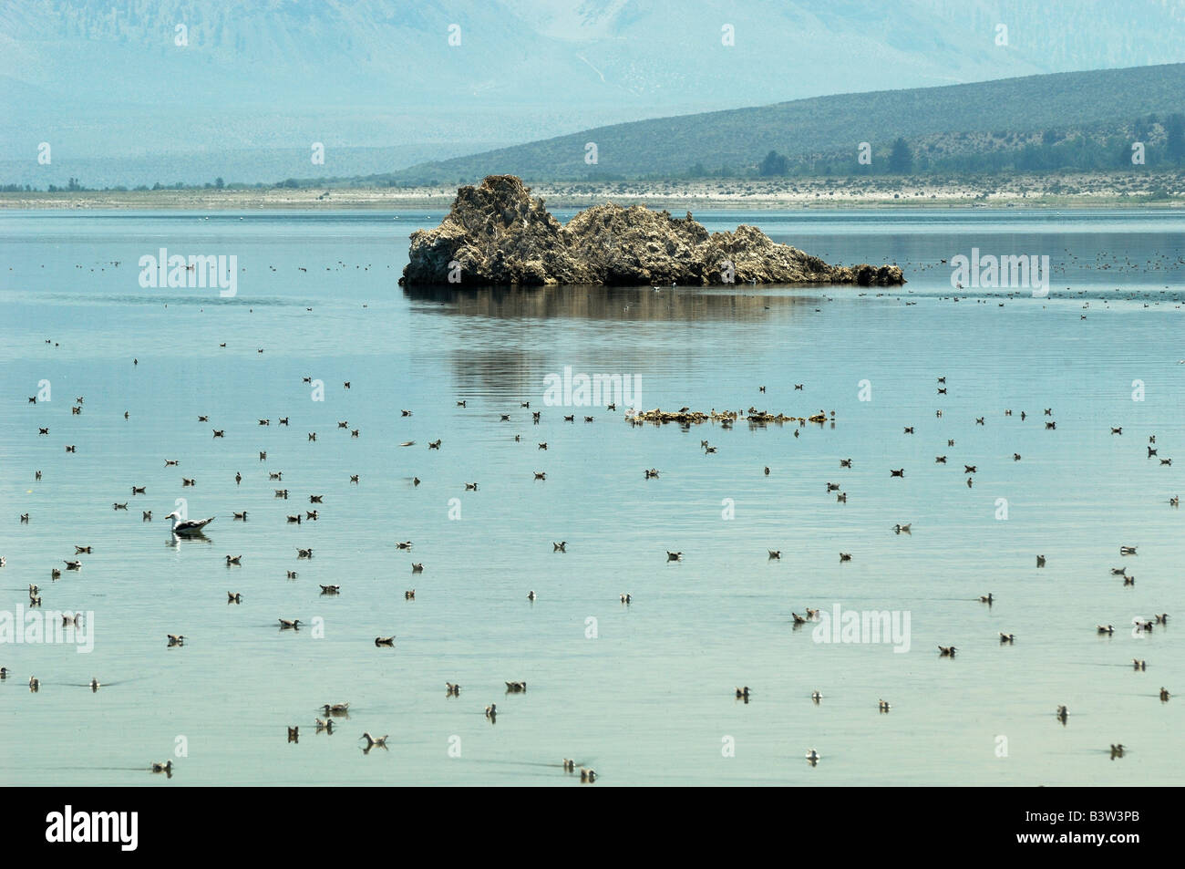 General landscape of Mono Lake Stock Photo - Alamy