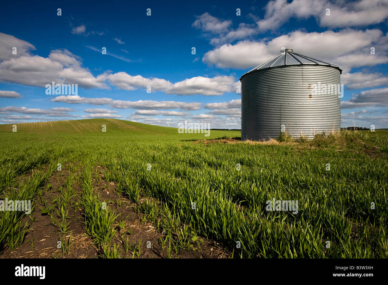 Grainery in a prairie field in rural saskatchewan hi-res stock ...