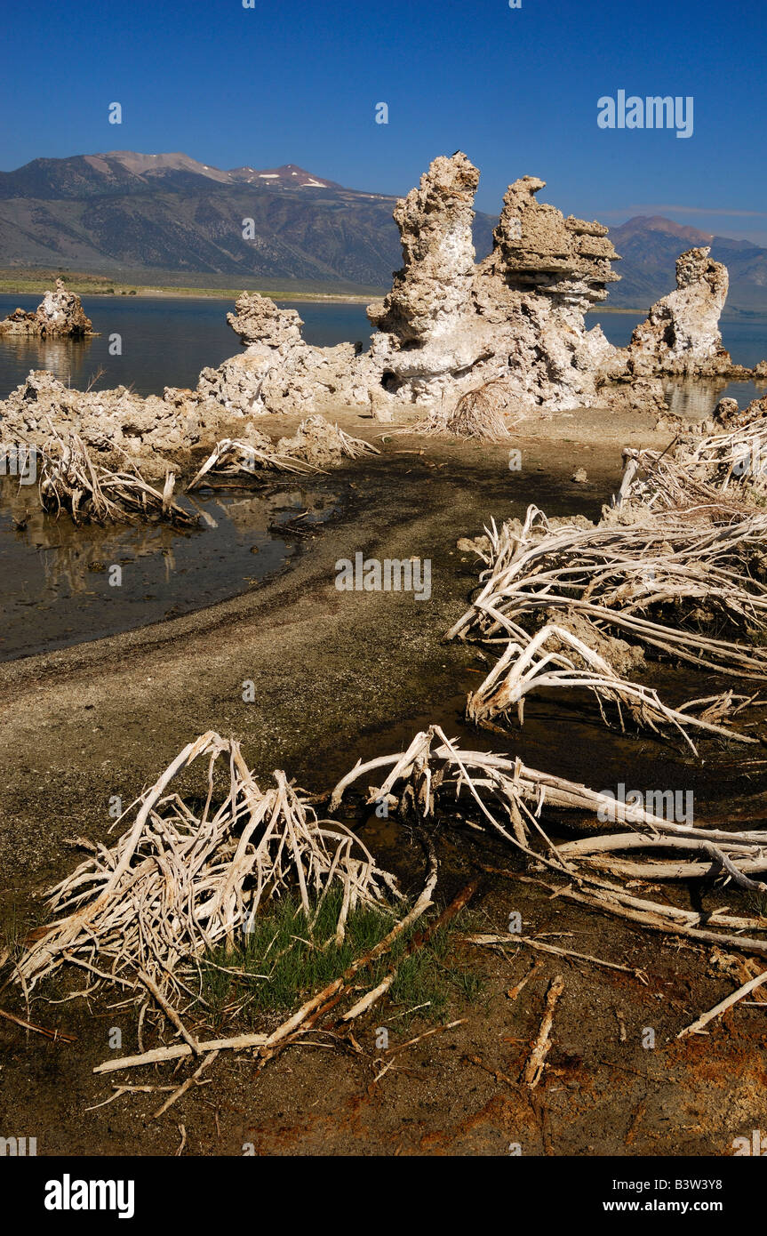 General landscape of Mono Lake Stock Photo - Alamy