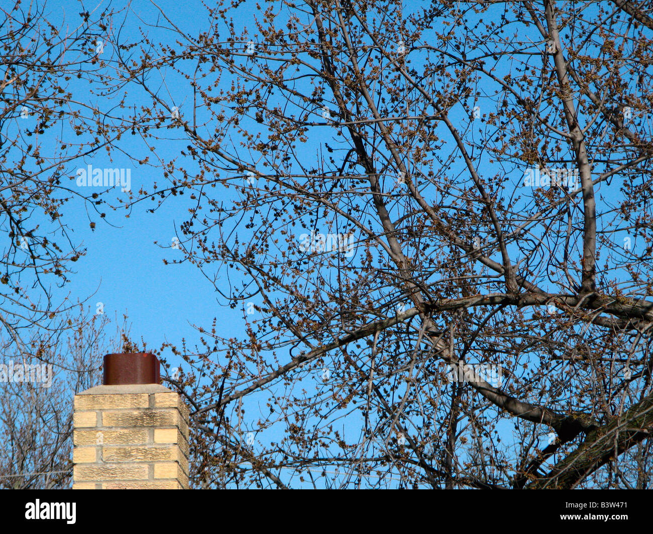 Chimney with Trees Stock Photo - Alamy