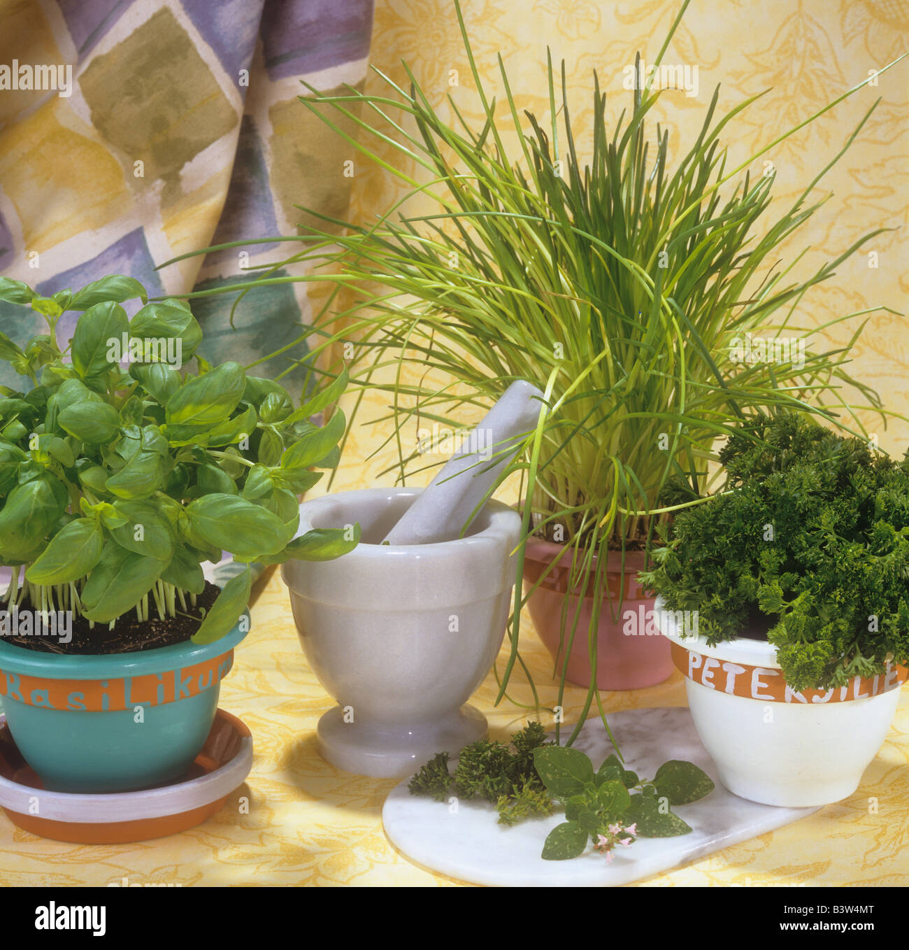 basil , parsley and chive Stock Photo - Alamy